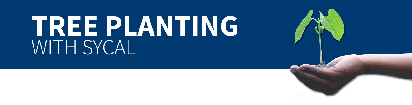 Sycal Promotional Tree Planting | Sycal | Promotional Merchandise
